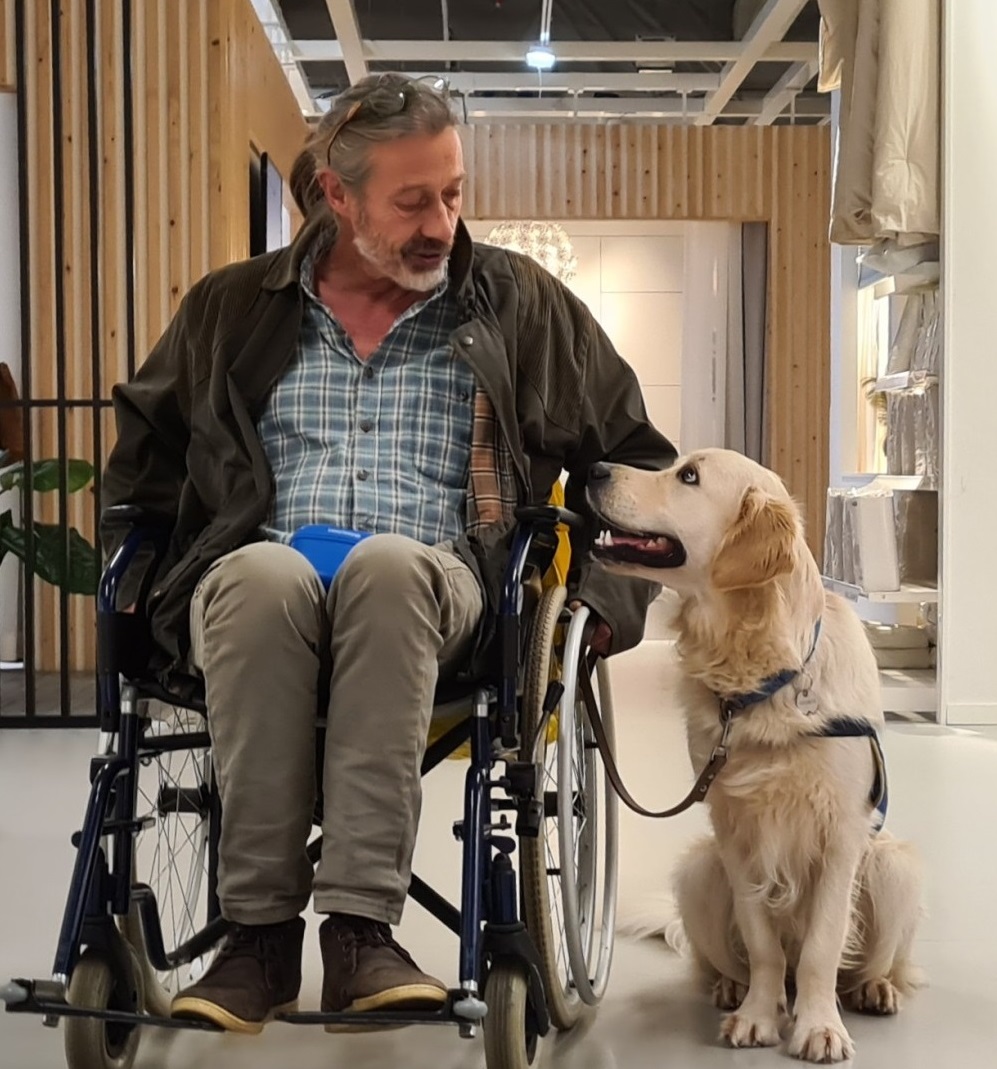 Filosofie van Os’mose – Respectvolle en inclusieve assistentiehondenopleiding